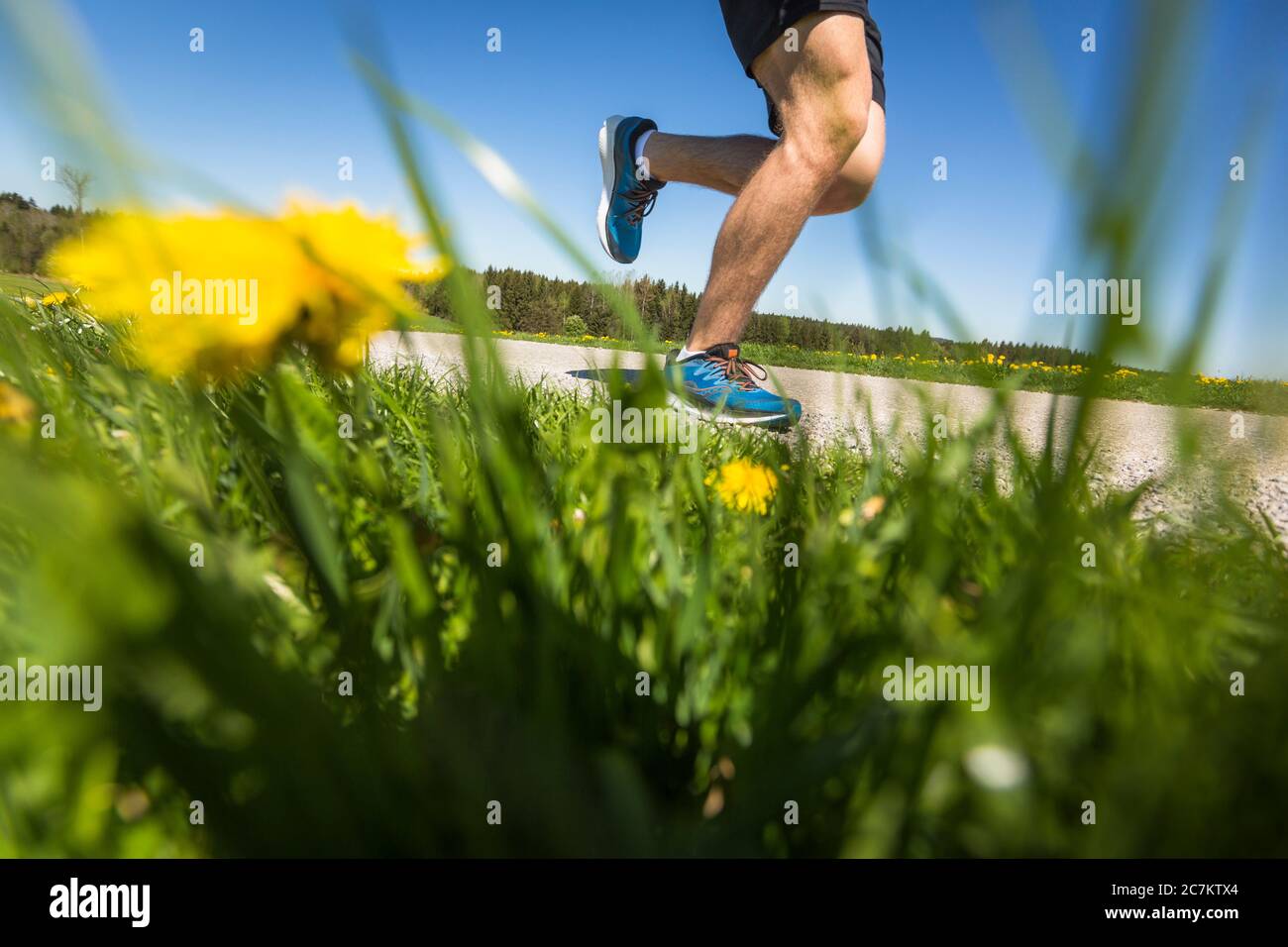 Teenage in green nature hi-res stock photography and images - Alamy