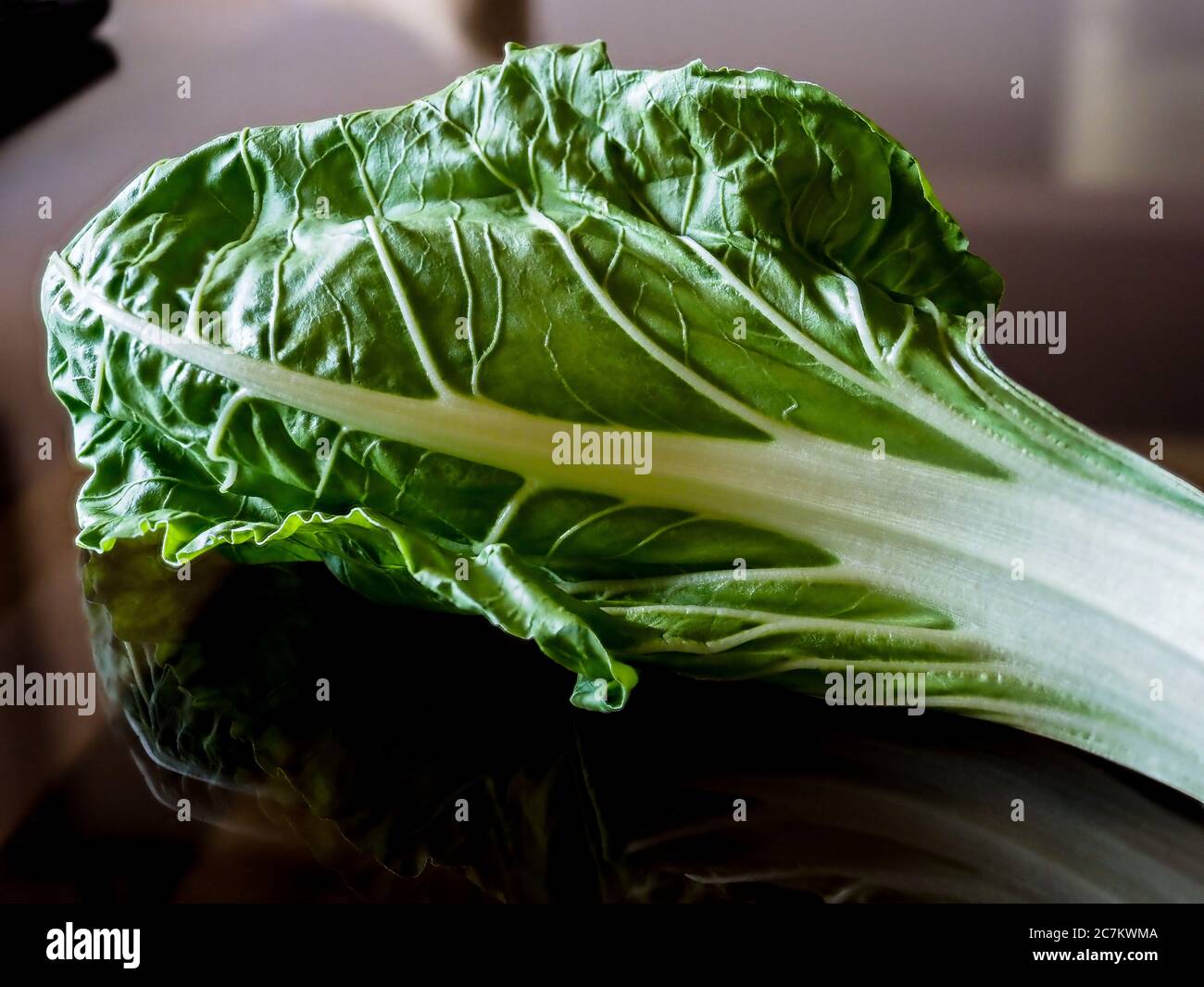 Chard leaf.Chard leaf. Edible vegetable with green leaf and white ...
