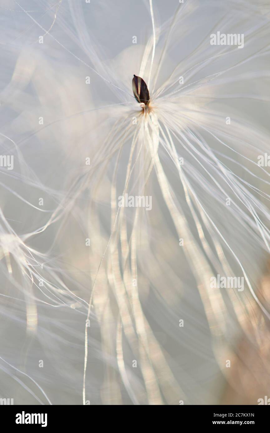 Float grass hi-res stock photography and images - Alamy
