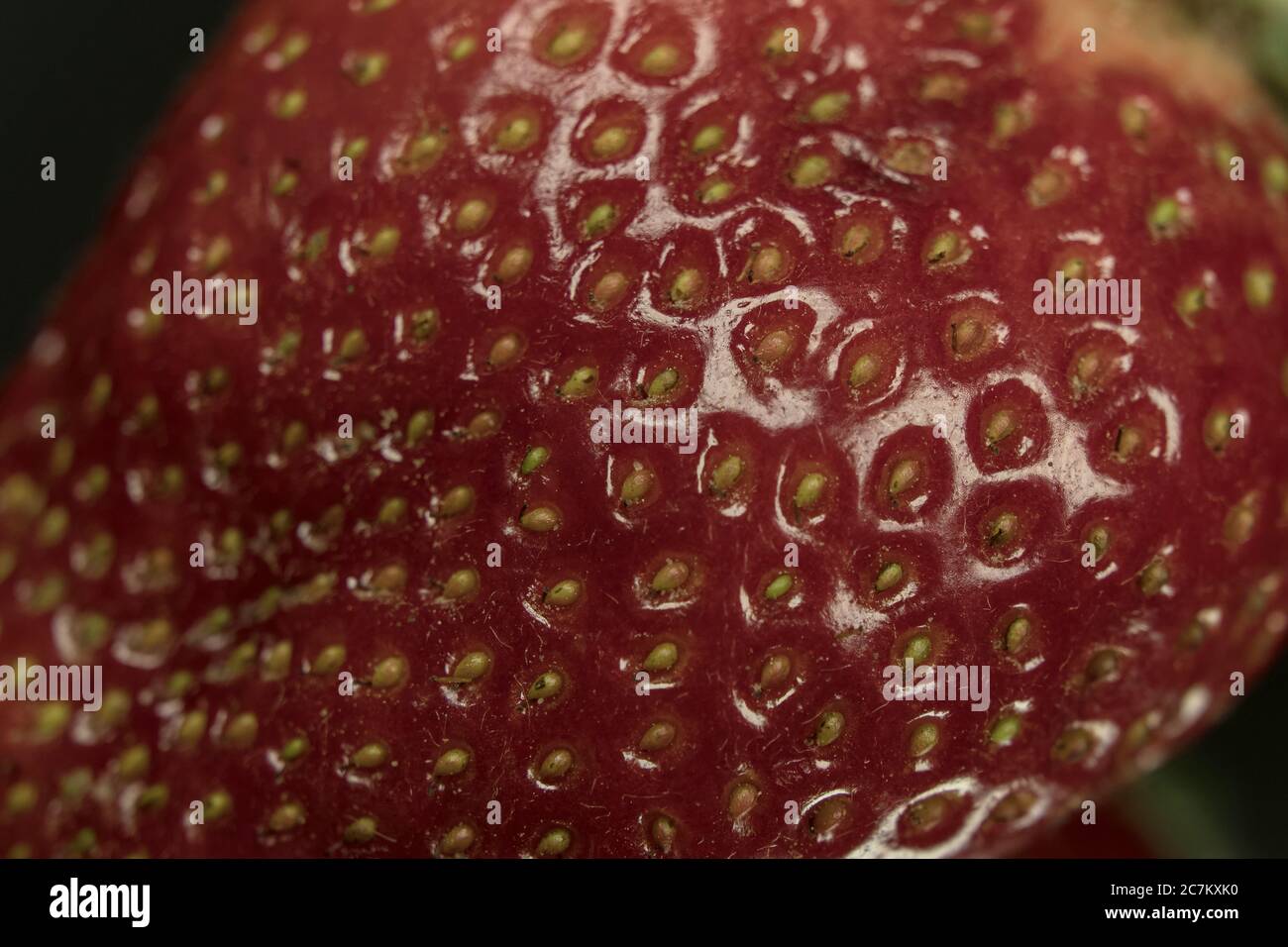 Strawberry berries close up. Visible structure and small details. Small ...