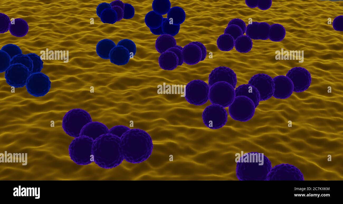 Staphylococcus Aureus Skin High Resolution Stock Photography and Images ...