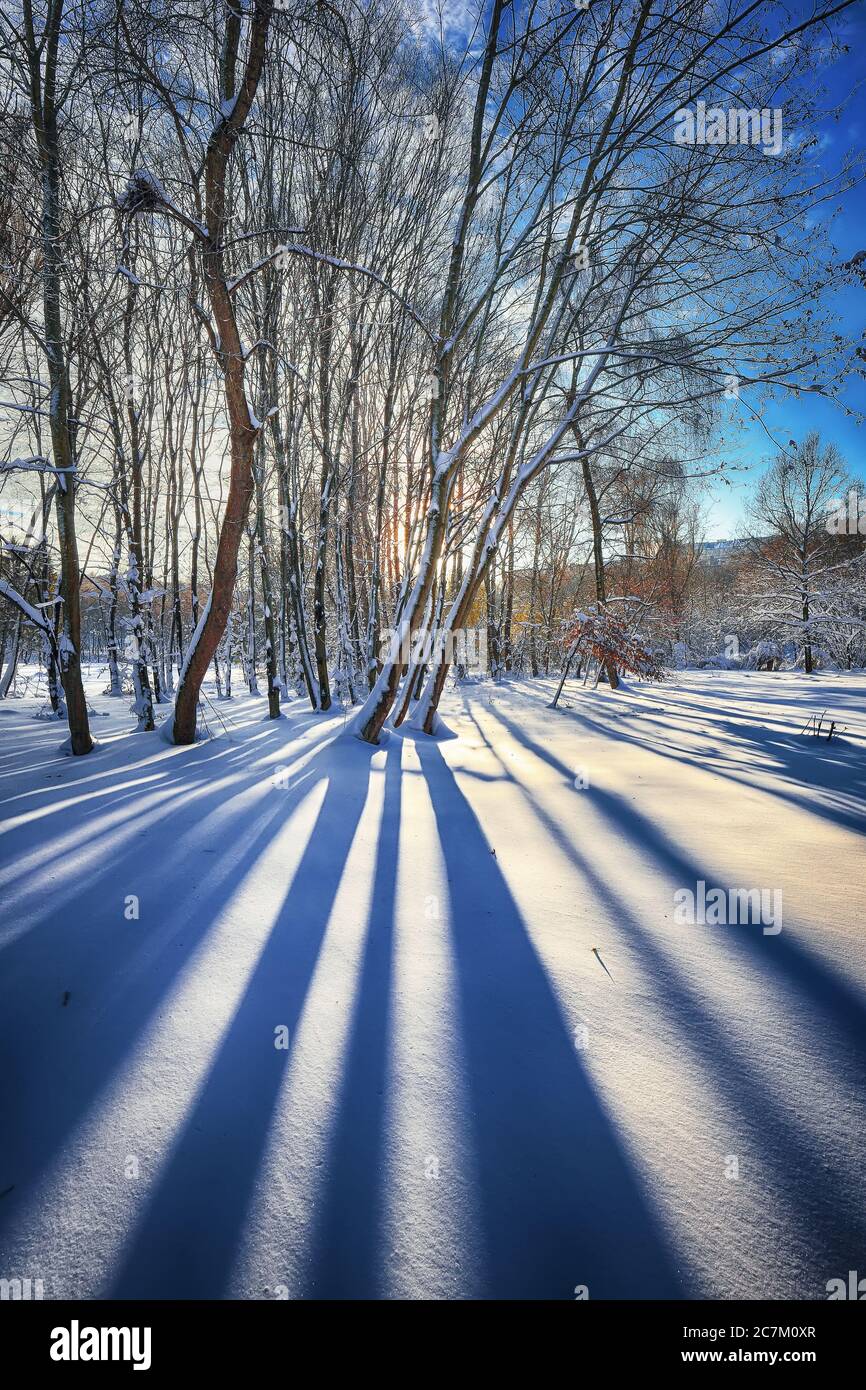 Hdr woods trees sun sky hi-res stock photography and images - Alamy