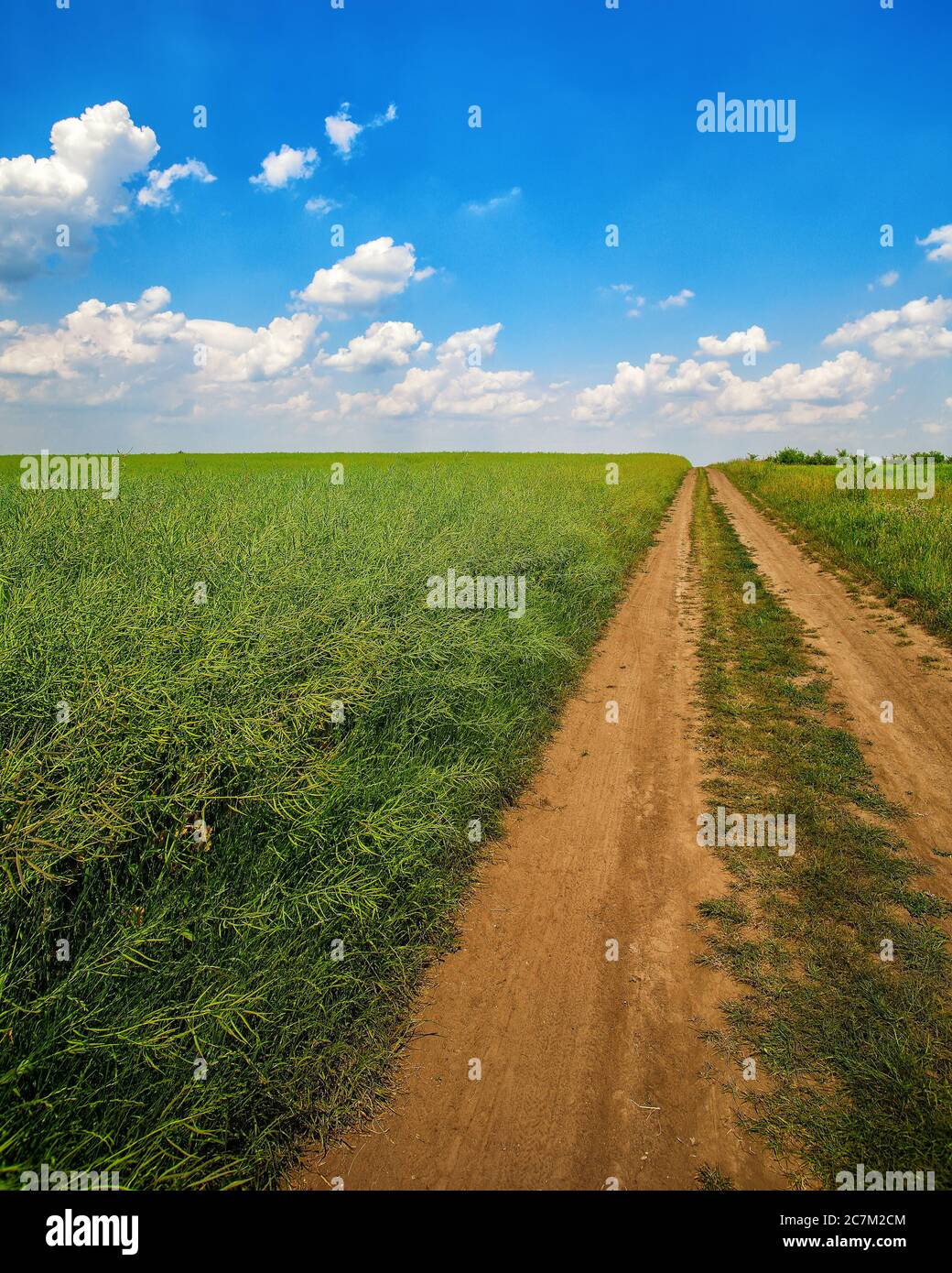 Summer landscape with green grass, road and clouds Stock Photo - Alamy