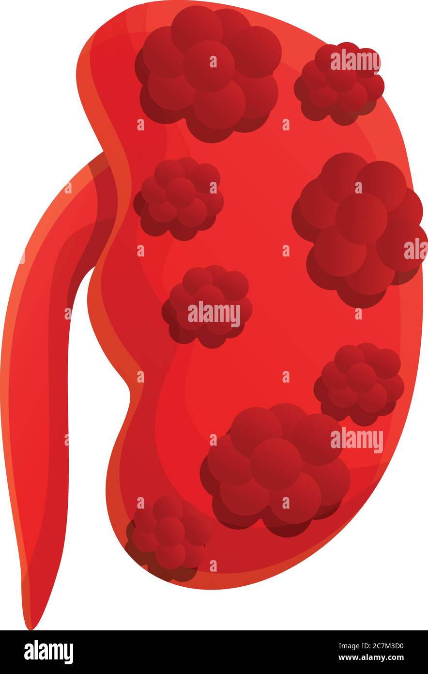Renal kidney icon. Cartoon of renal kidney vector icon for web design ...