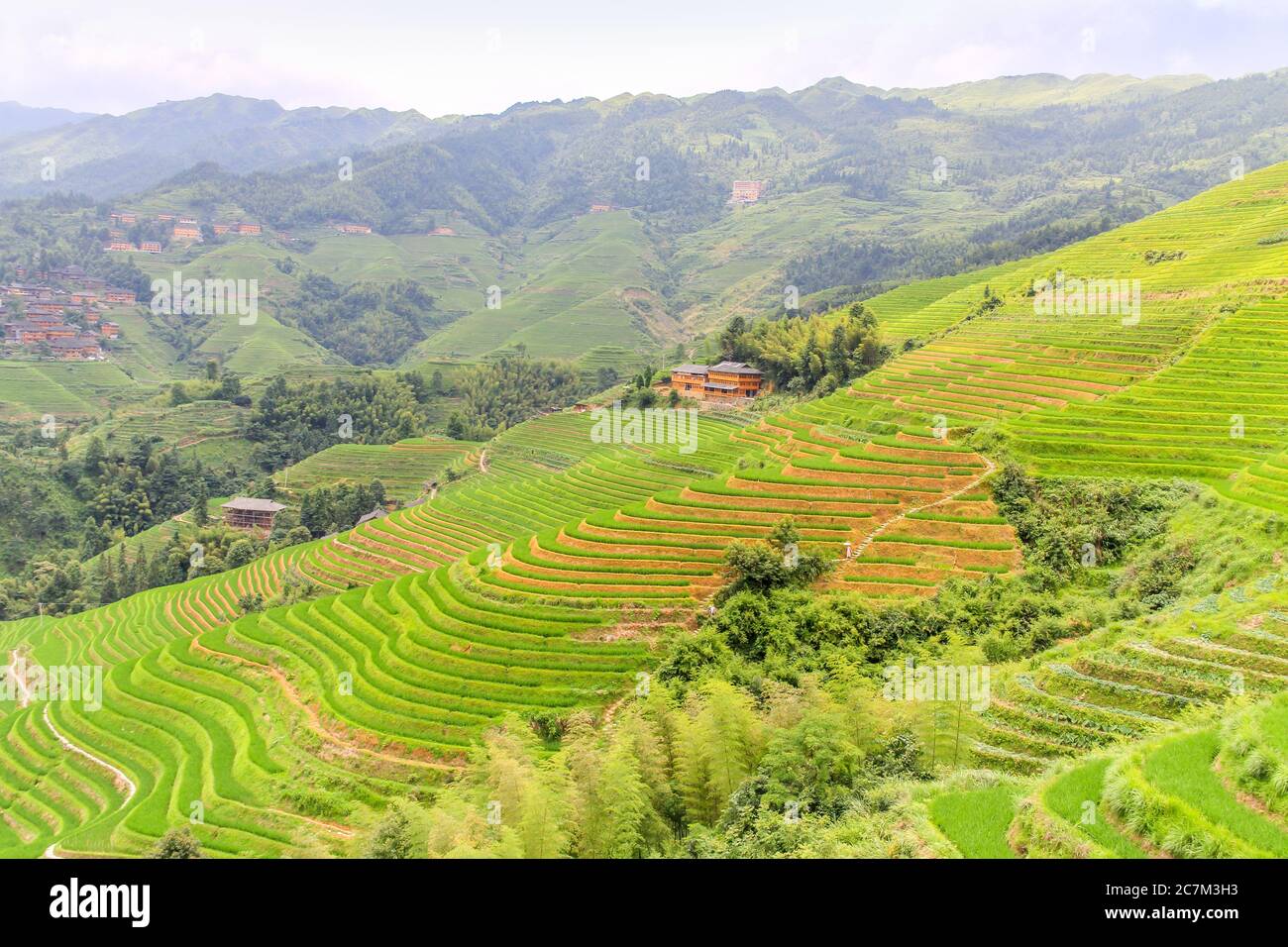 Terrance field hi-res stock photography and images - Alamy