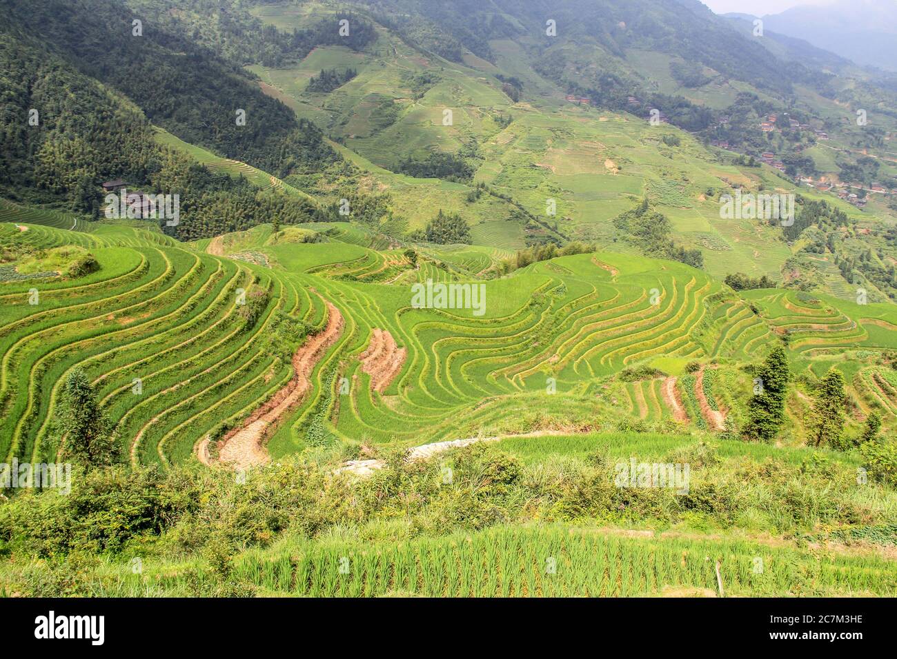 Terrance field hi-res stock photography and images - Alamy