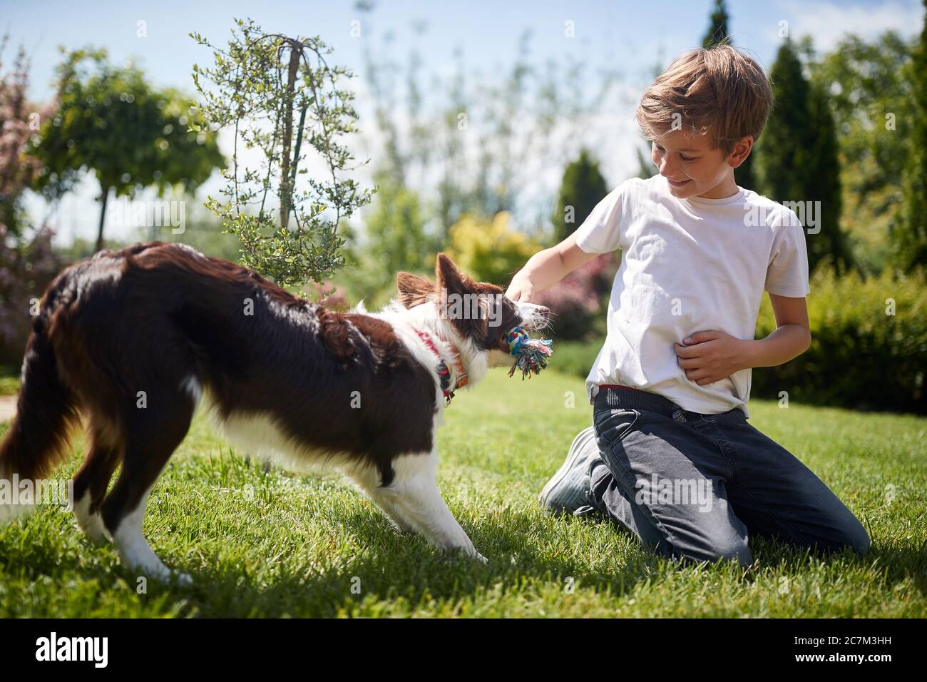 Happy kid boy playing with his dog pulling doggy cotton rope toy Stock ...