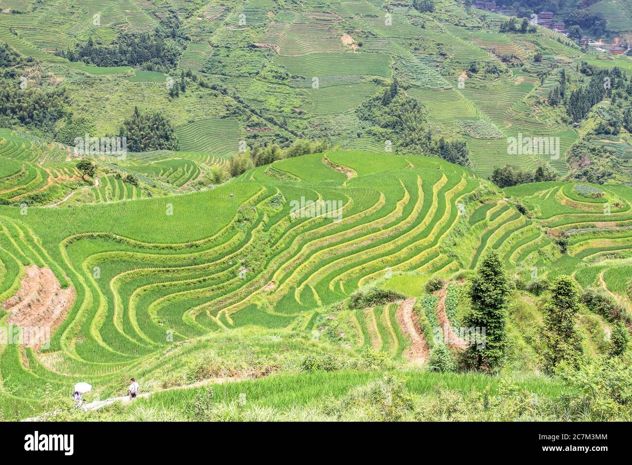 Terrance field hi-res stock photography and images - Alamy