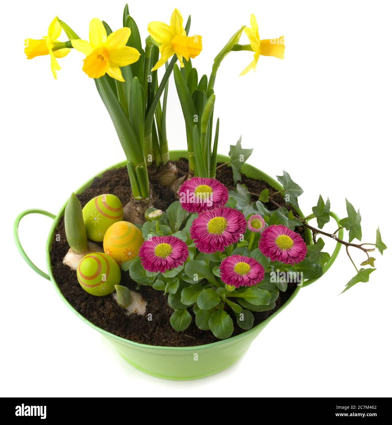 Cut ivy basket hi-res stock photography and images - Alamy