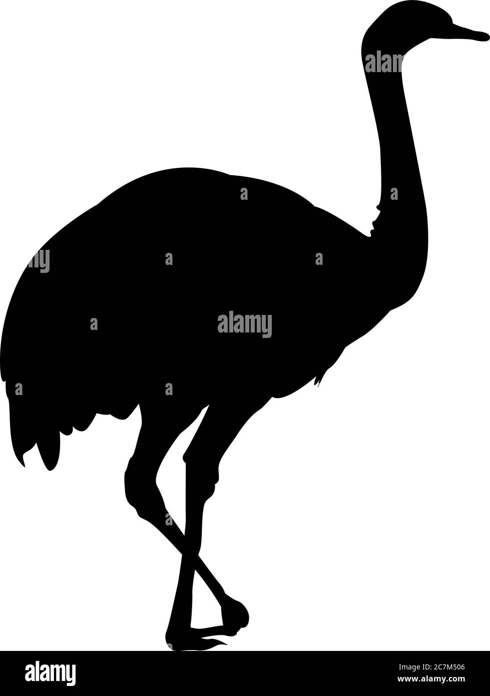 Black isolated rhea (Rhea americana Stock Vector Image & Art - Alamy