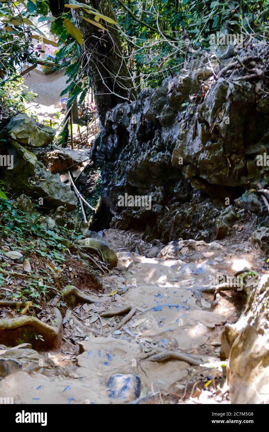 stream in forest, beautiful photo digital picture Stock Photo - Alamy