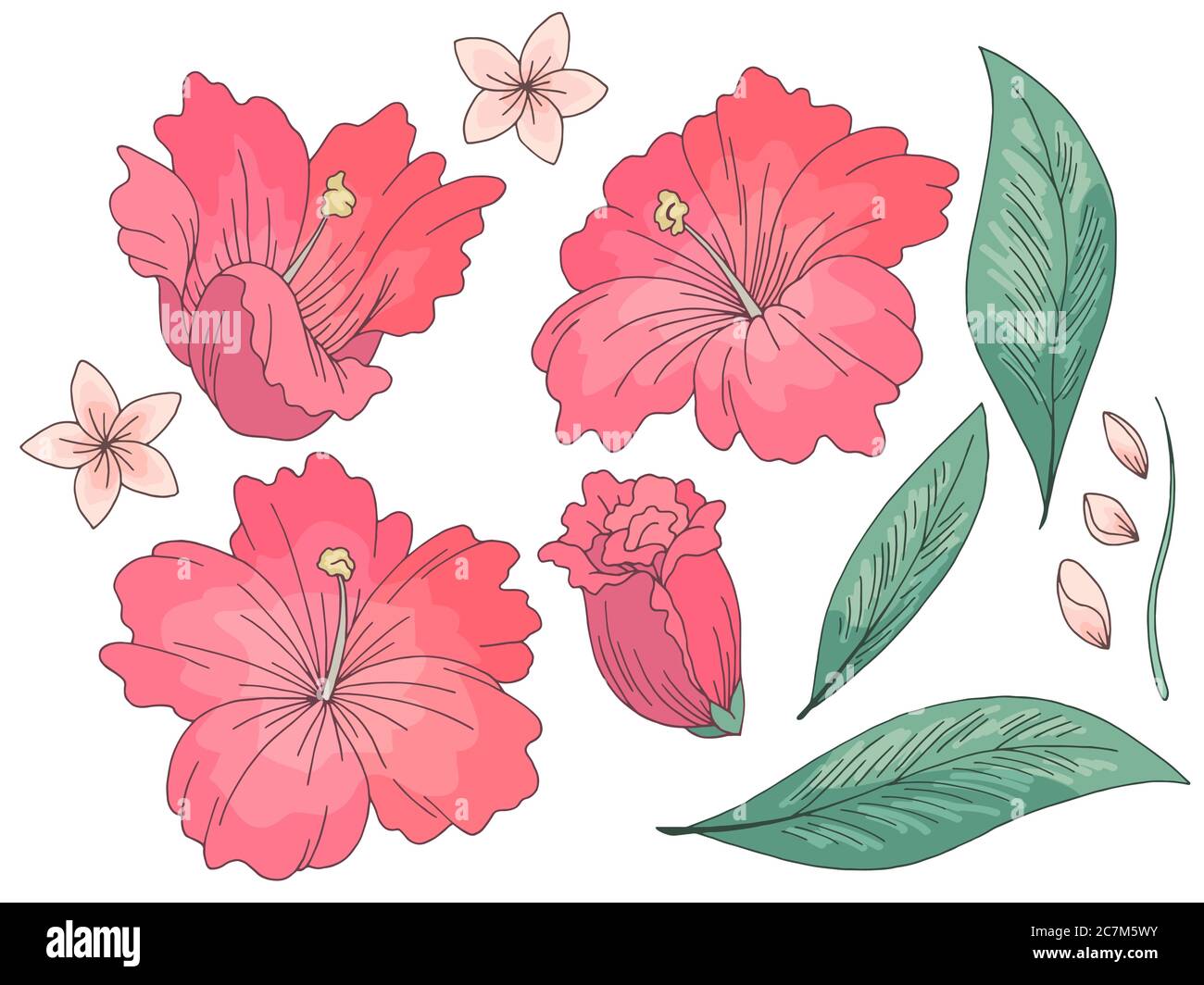 Tropical flower graphic color isolated sketch set illustration vector ...