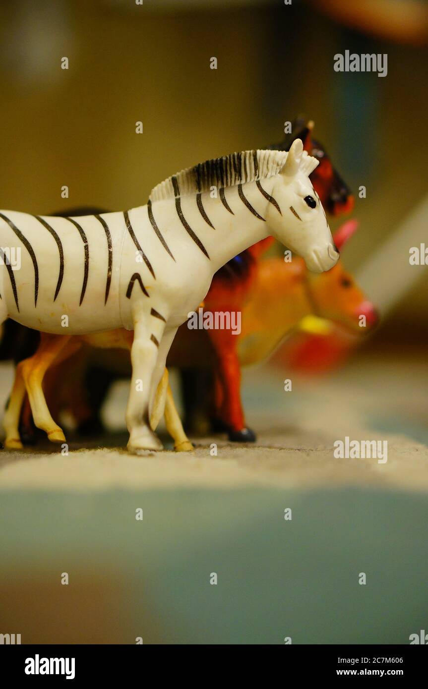 Toys of a zebra, horse and a bull placed next to each other Stock Photo ...