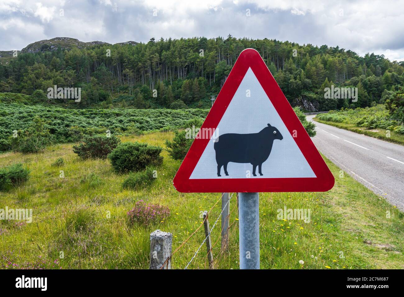 Sheep crossing sign hi-res stock photography and images - Alamy