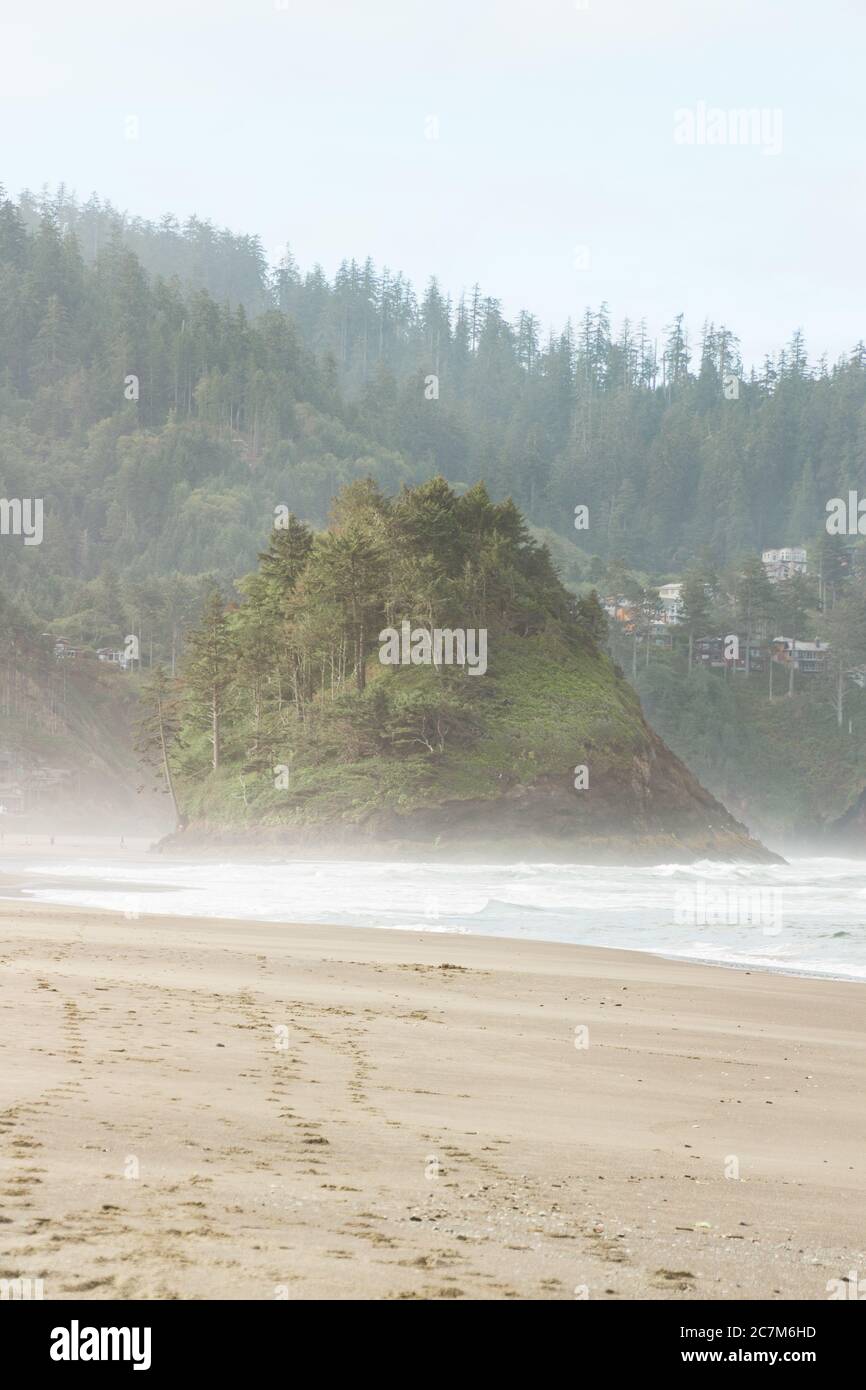 Vertical shot coast forest hi-res stock photography and images - Alamy