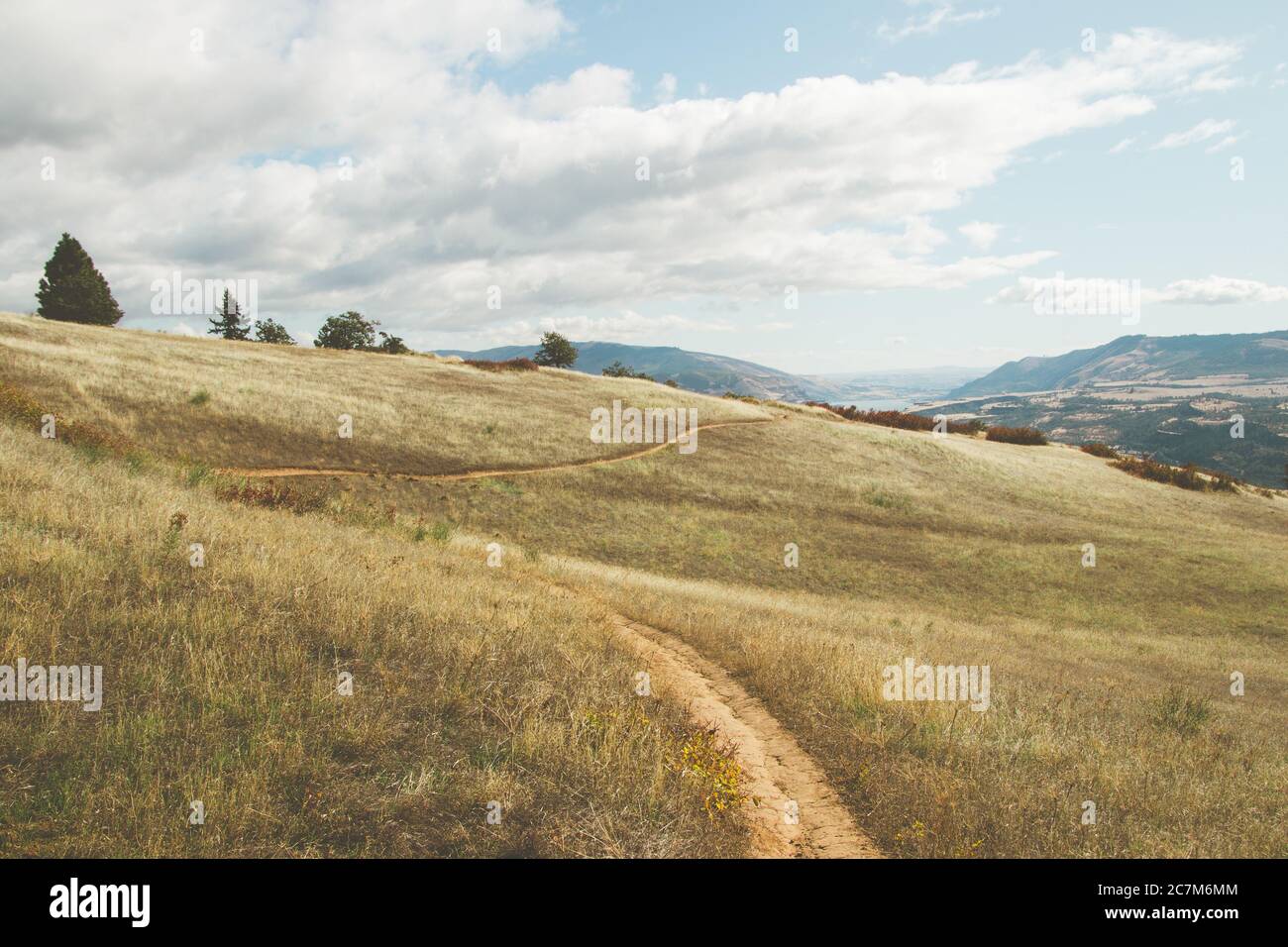 Narrow cycle track hi-res stock photography and images - Alamy
