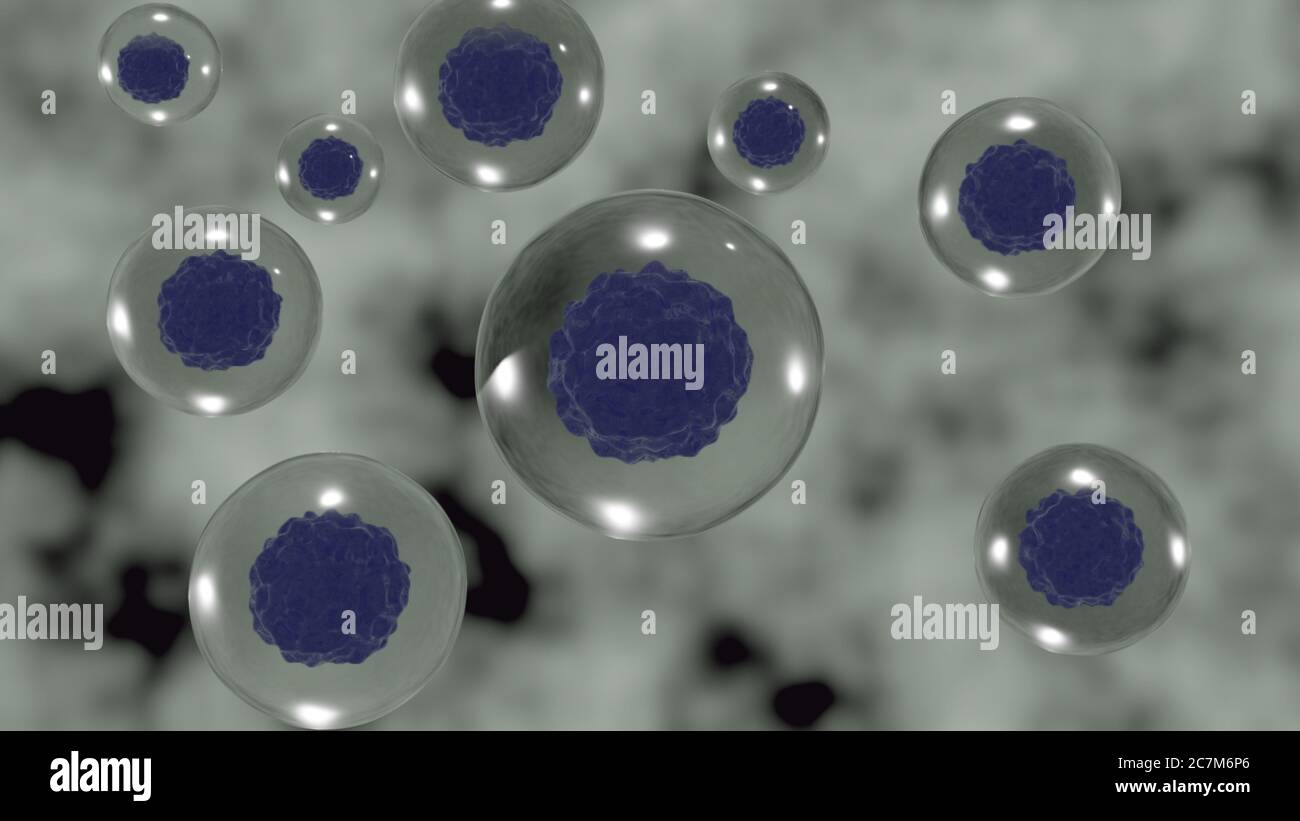 Nucleated cells hi-res stock photography and images - Alamy