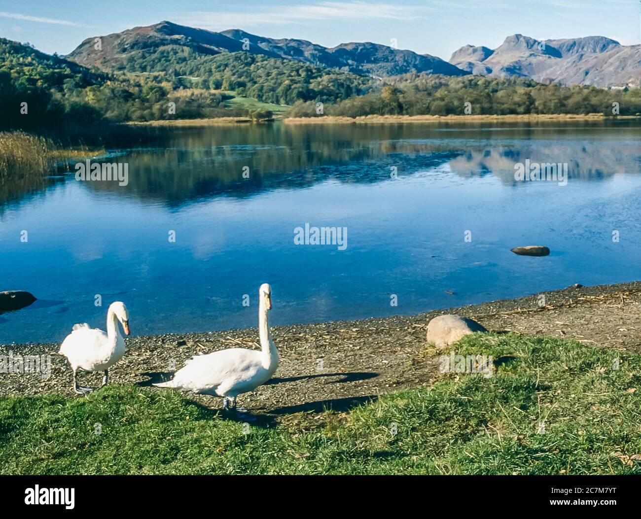 This is Elterwater and the Langdale Pikes in the English Lake District ...