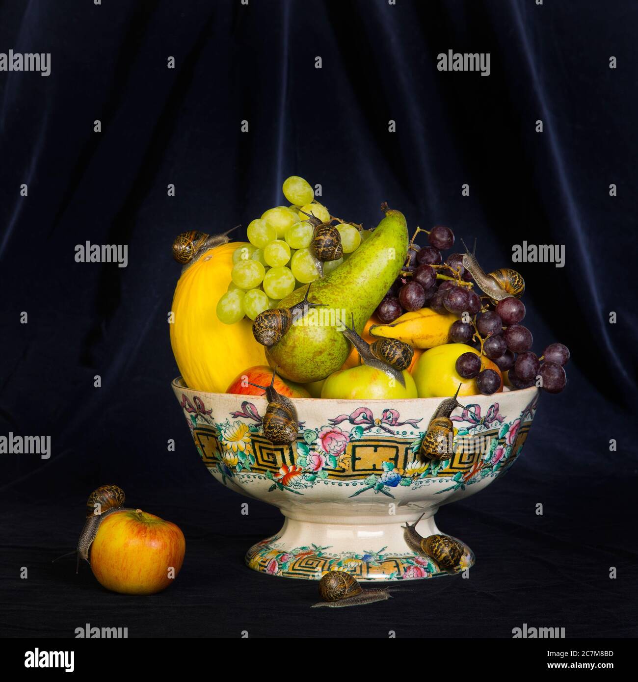 Still life with a twist Stock Photo - Alamy