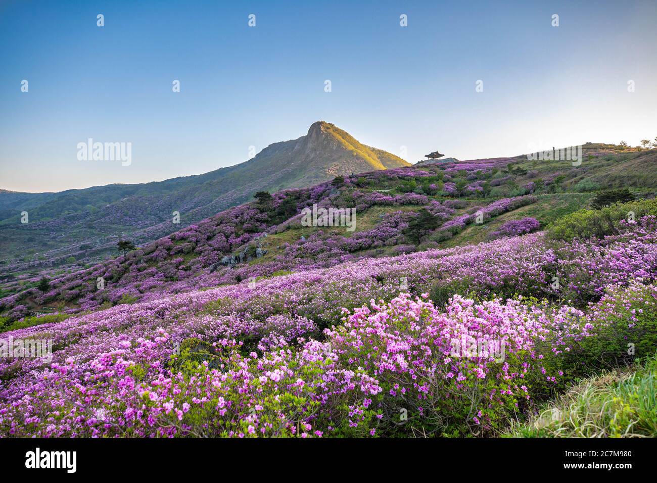 Hwangmaesan hi-res stock photography and images - Alamy