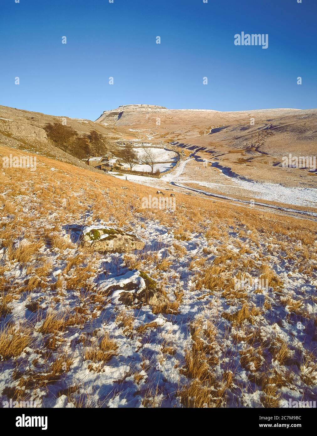 This is Ingleborough mountain in winter viewed from Crina Bottom hill ...