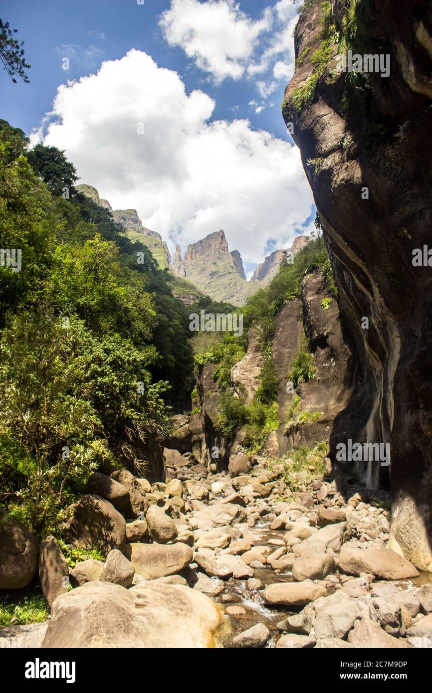 View down the Tugela Gorge with the Devils tooth, a basalt pinnacle, in ...