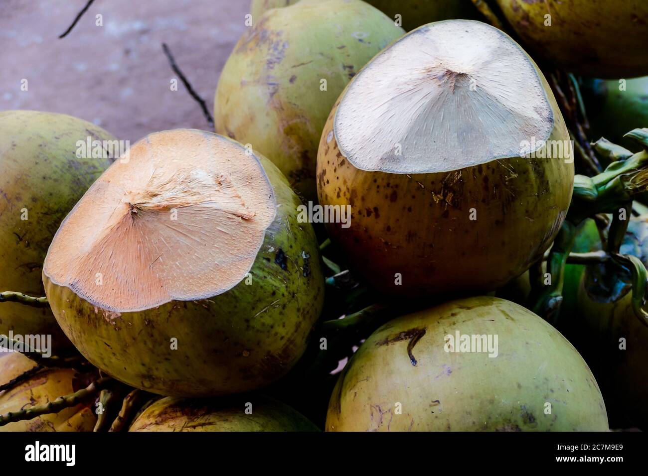 coconut on tree, beautiful photo digital picture Stock Photo - Alamy