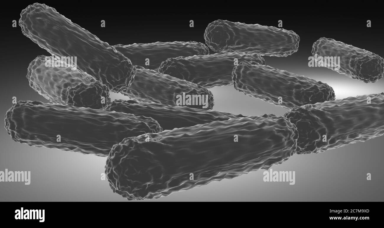 Bacteria bacilli Black and White Stock Photos & Images - Alamy