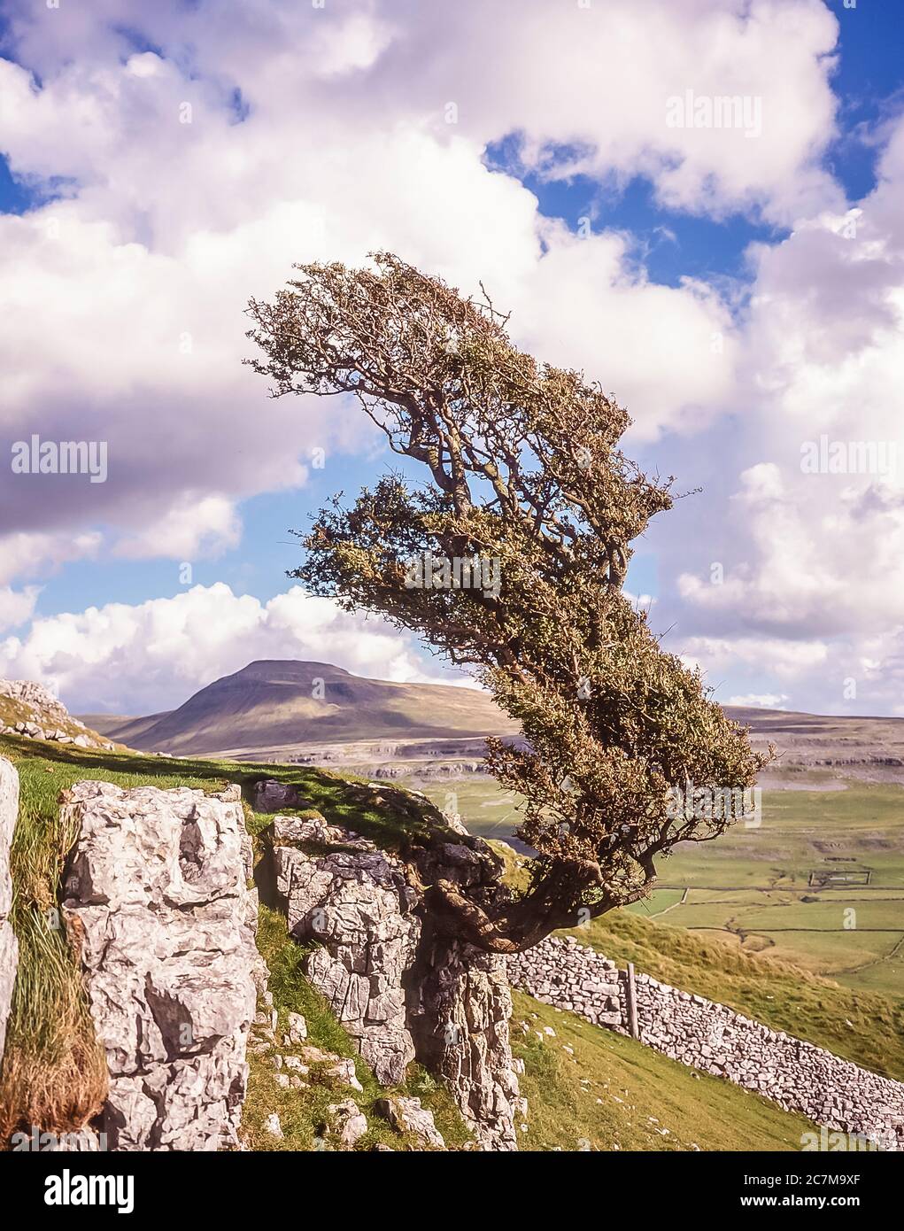 Ingleton village hi-res stock photography and images - Alamy