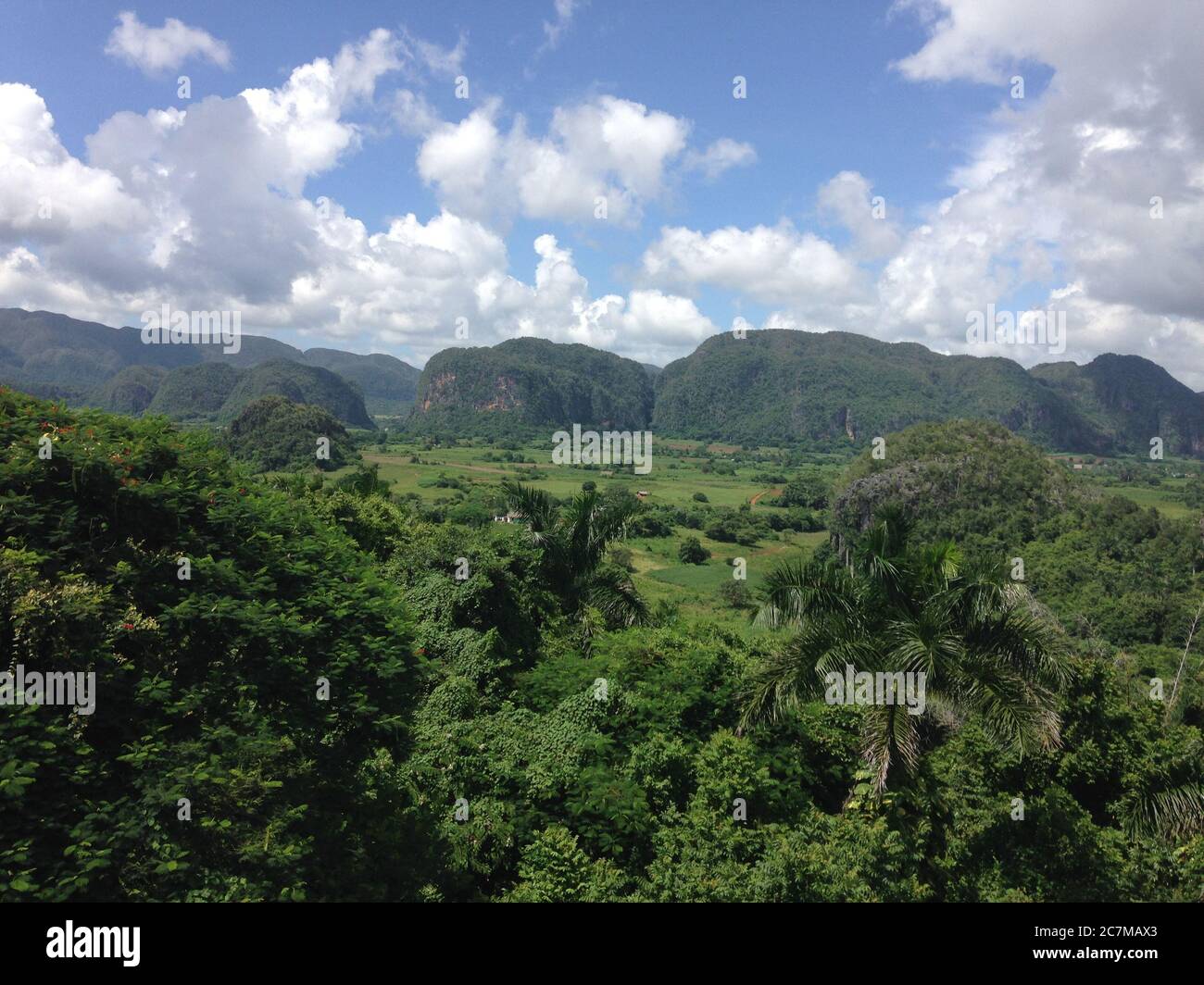 Aerial shot of a beautiful forest with hills on the background under a ...