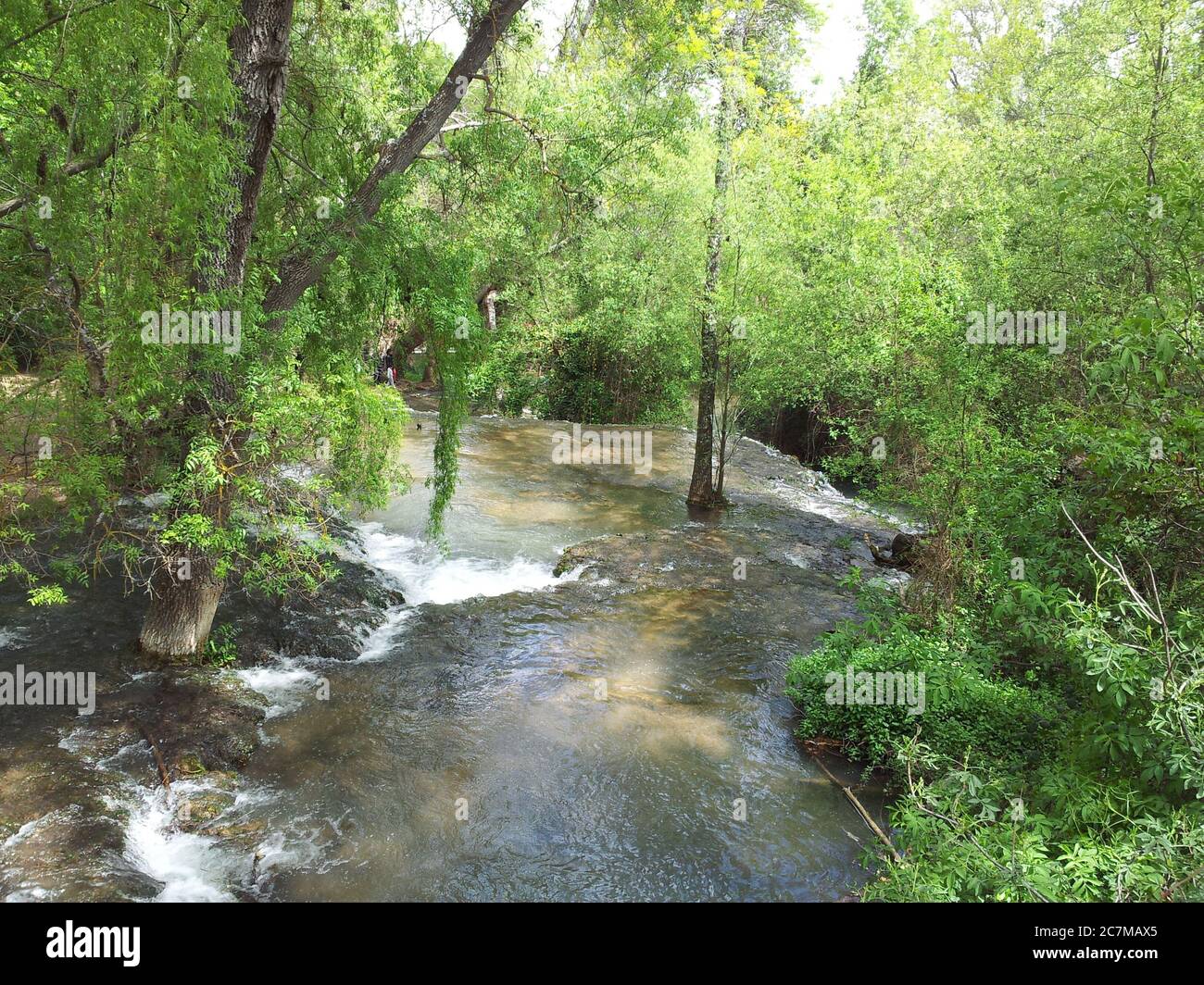 Aerial high angle shot of a water stream in a forest under the sunlight ...