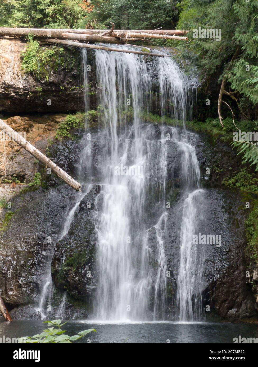 Silver river state park hi-res stock photography and images - Alamy