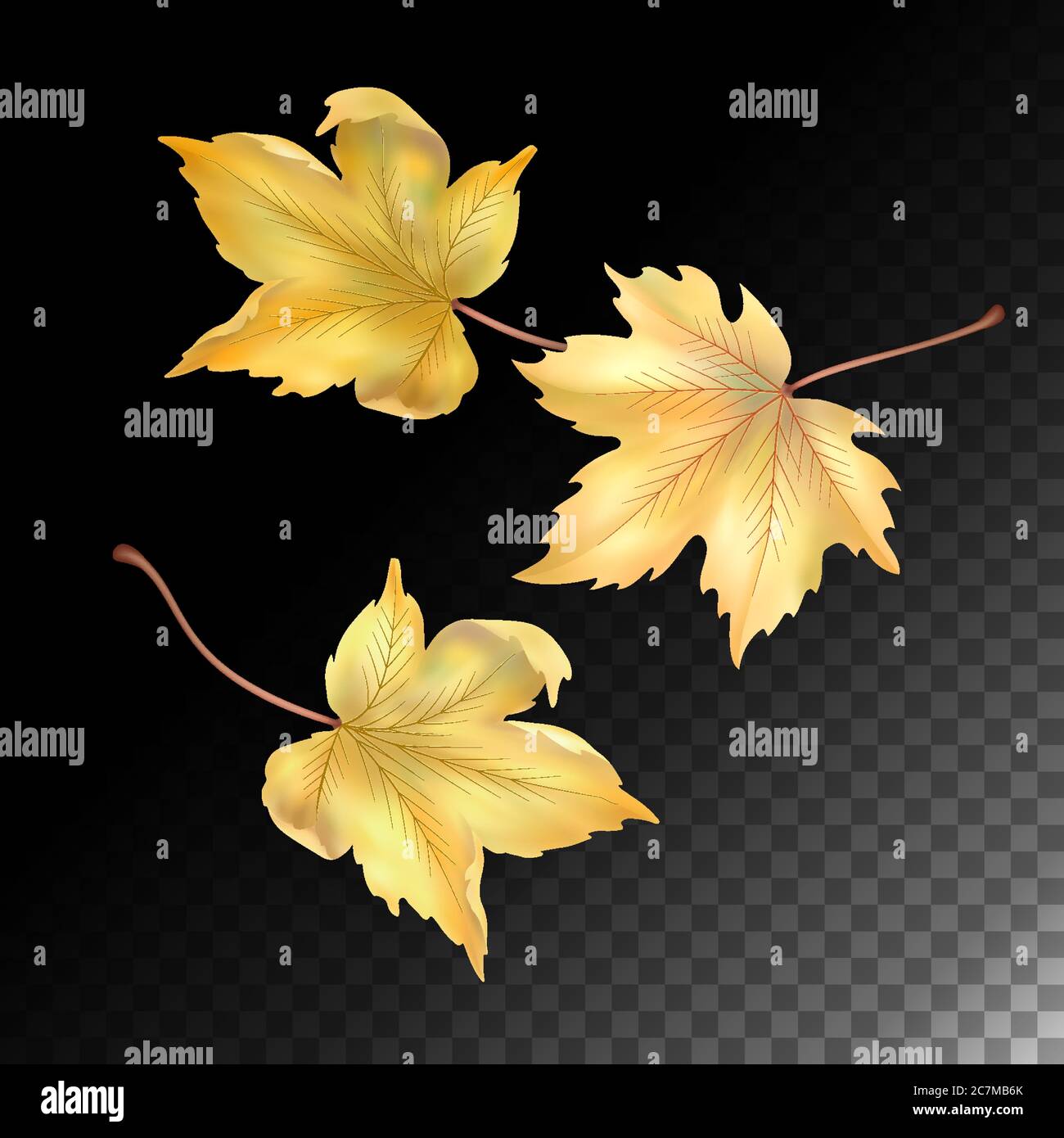 Vector Maple Leaf Stock Vector Image & Art - Alamy