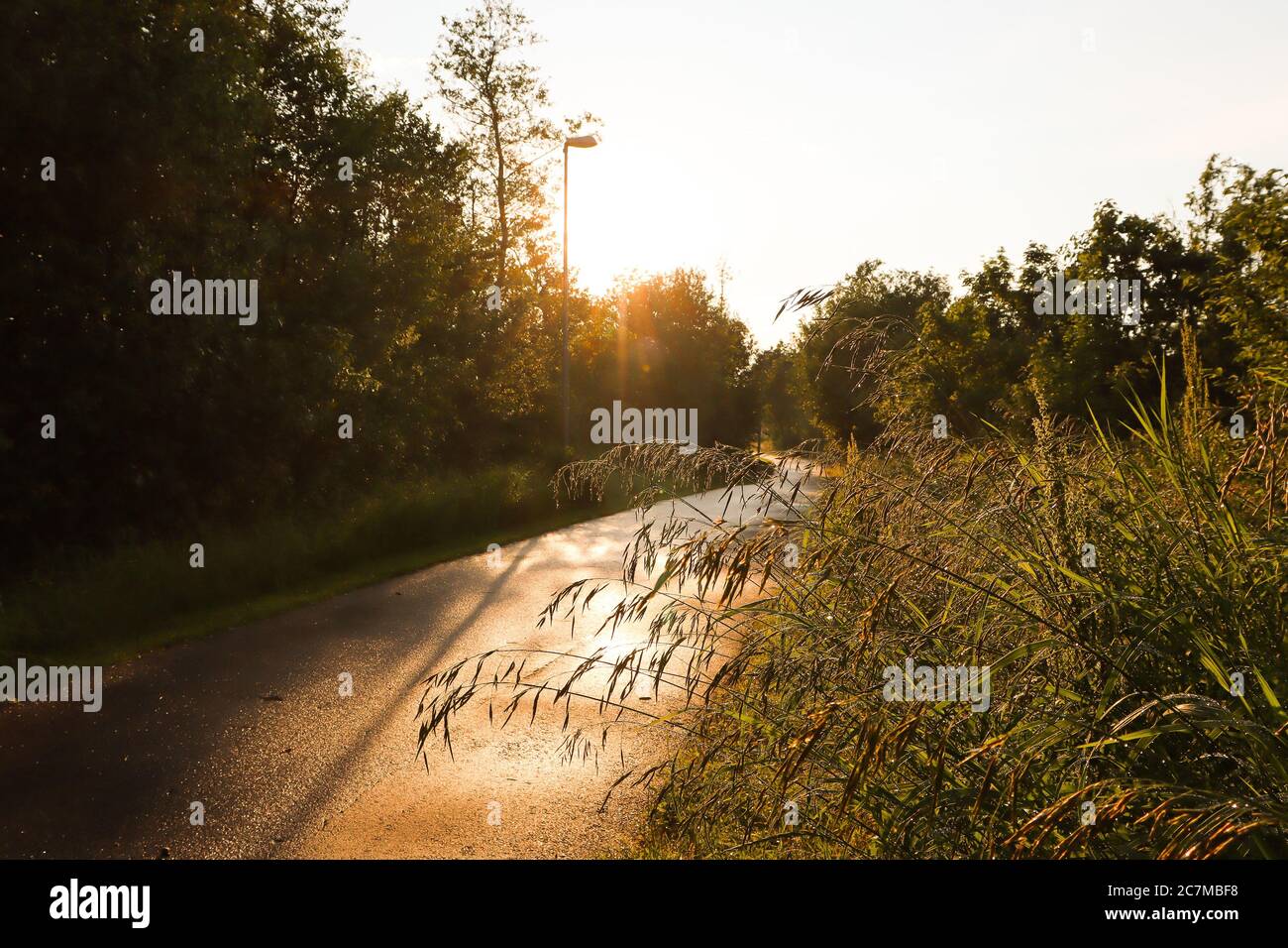 Sunset on a road hi-res stock photography and images - Alamy