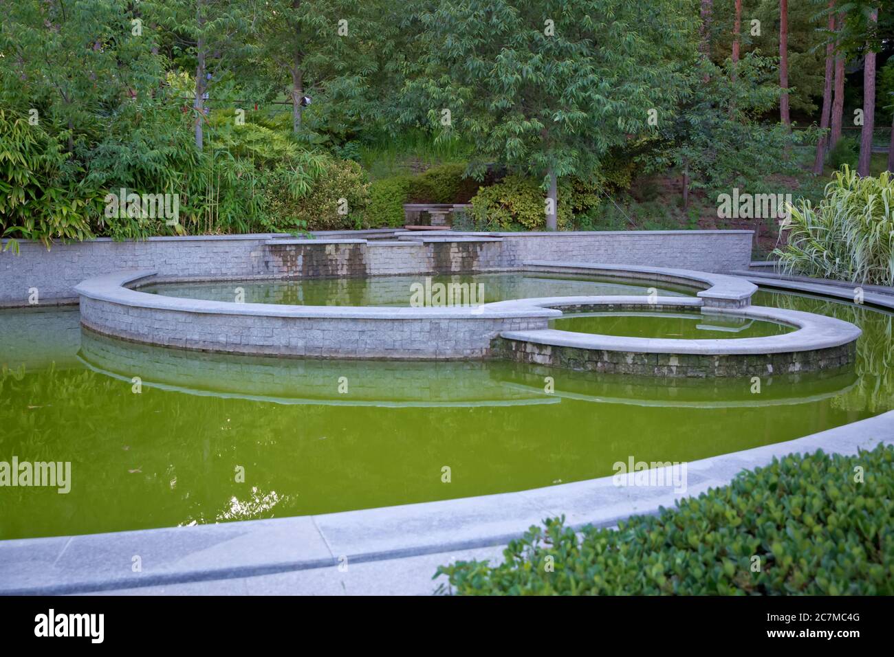 Swim in the park in the background green grass, trees . The pool in the ...