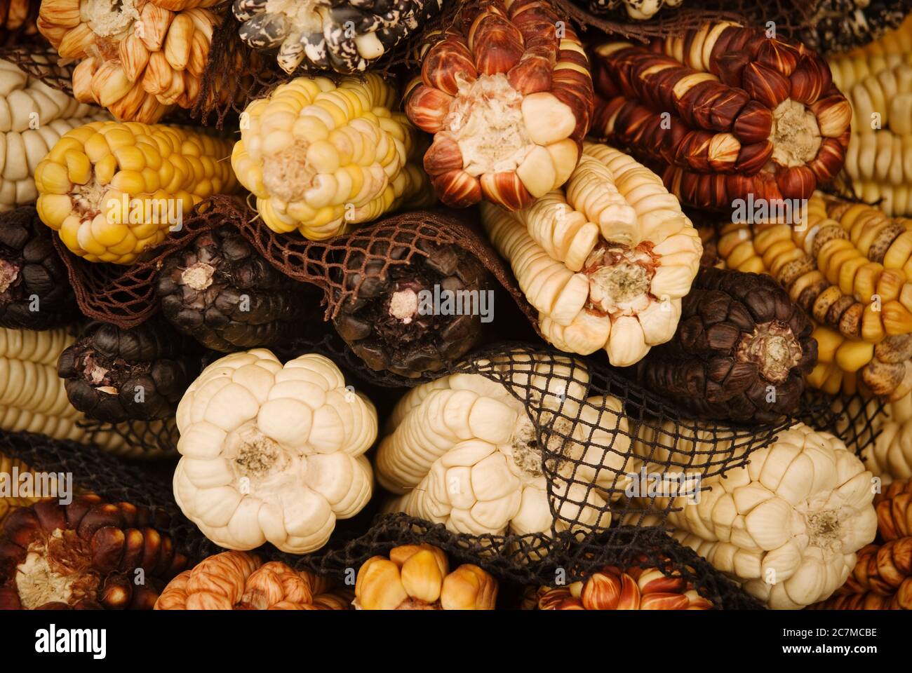 Multi colored corn hi-res stock photography and images - Alamy