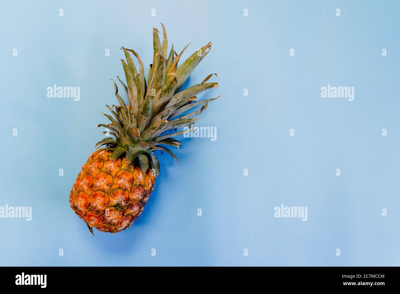 Tilted fresh pineapple fruit on a blue background with space for your text Stock Photo - Alamy