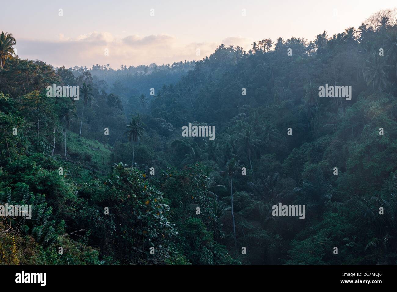 Green tropical trees and a sunset in Bali, Indonesia Stock Photo - Alamy