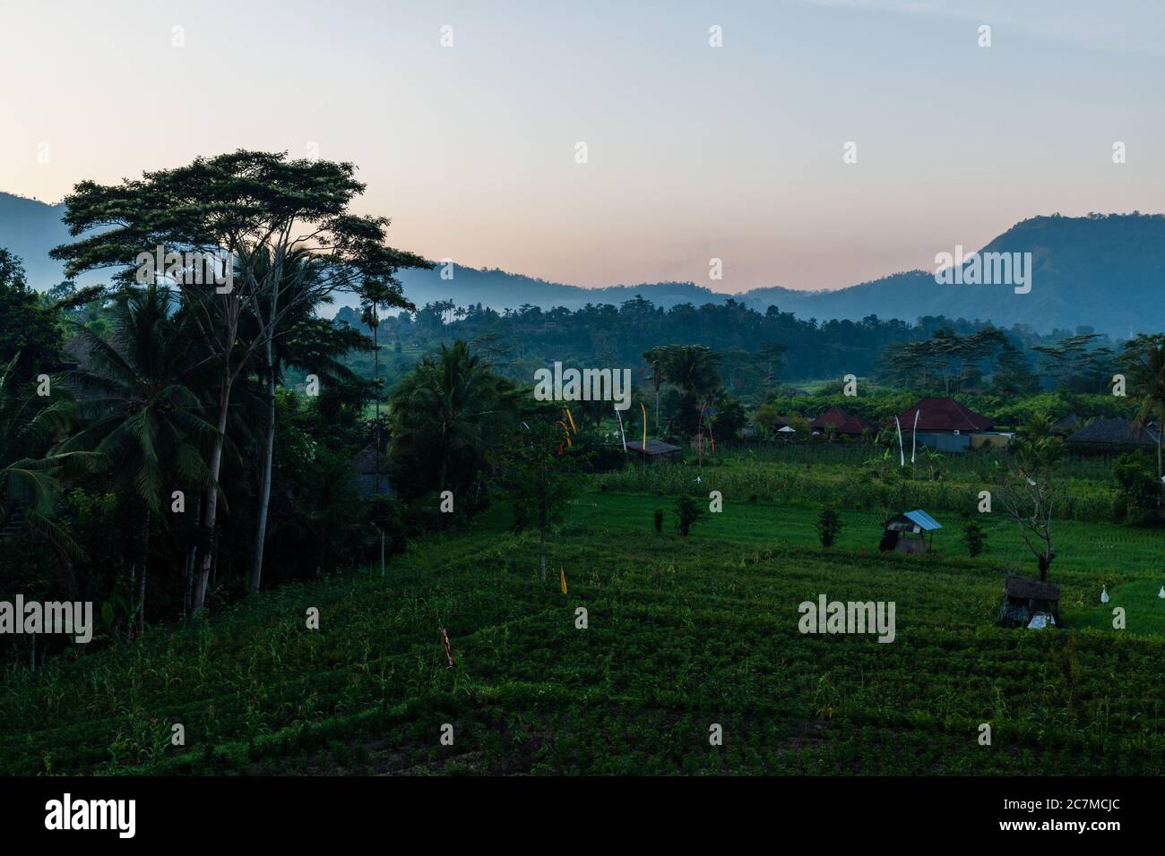 Green indonesia hi-res stock photography and images - Alamy