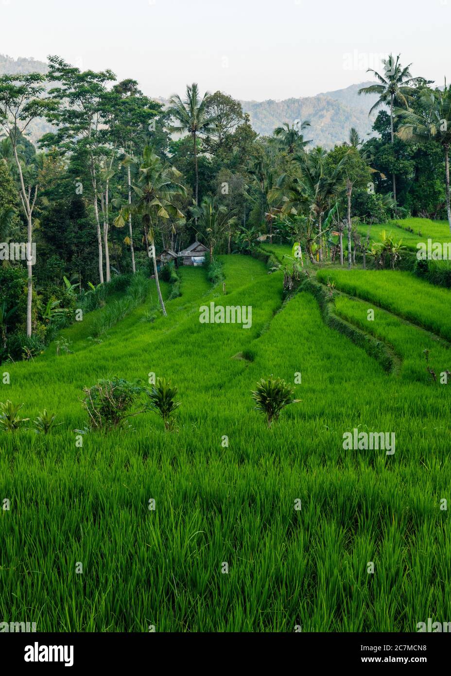 Beautiful fields hi-res stock photography and images - Alamy