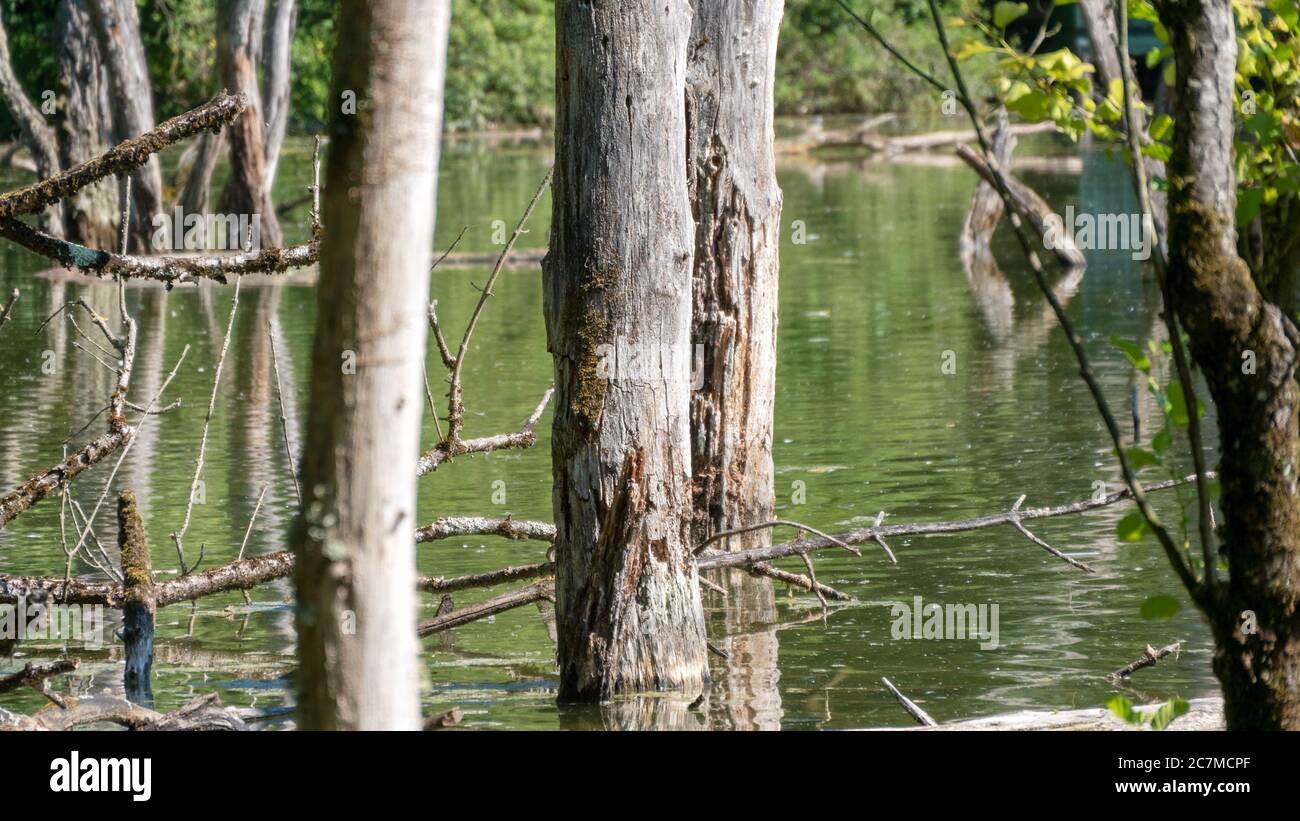 Follow the nature hi-res stock photography and images - Alamy