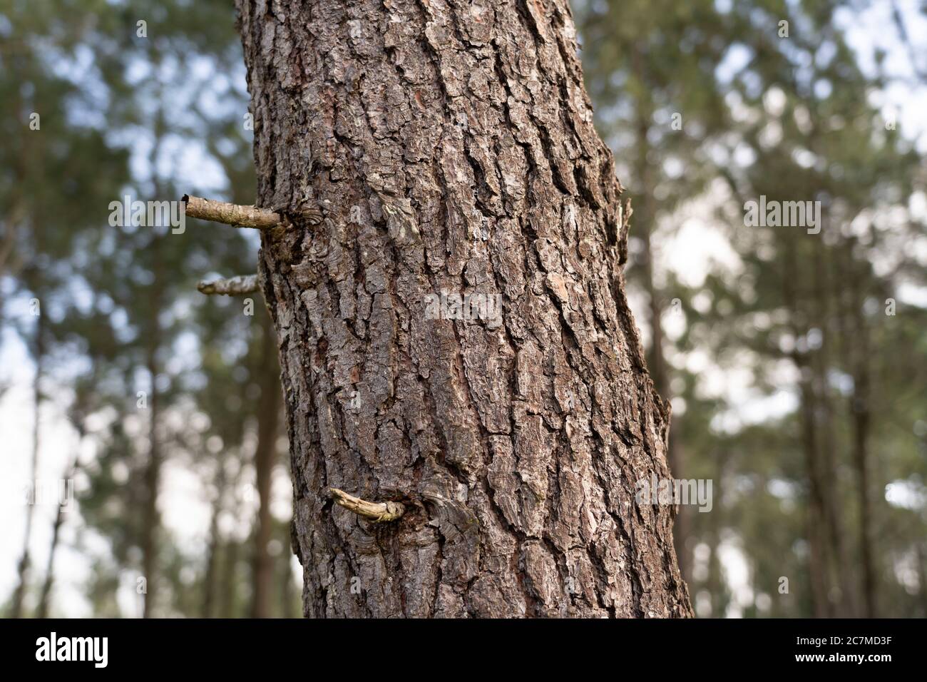Hard environment hi-res stock photography and images - Alamy