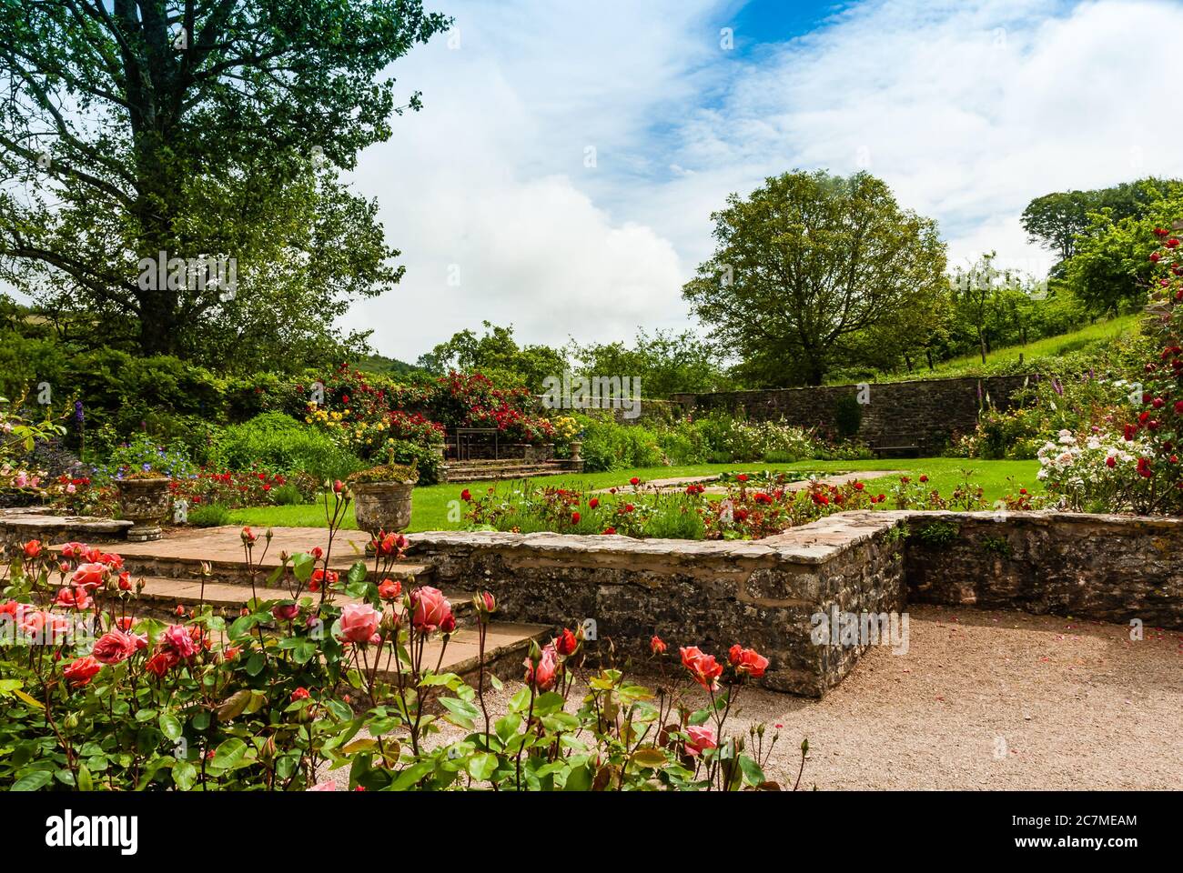 Compton castle gardens hi-res stock photography and images - Alamy