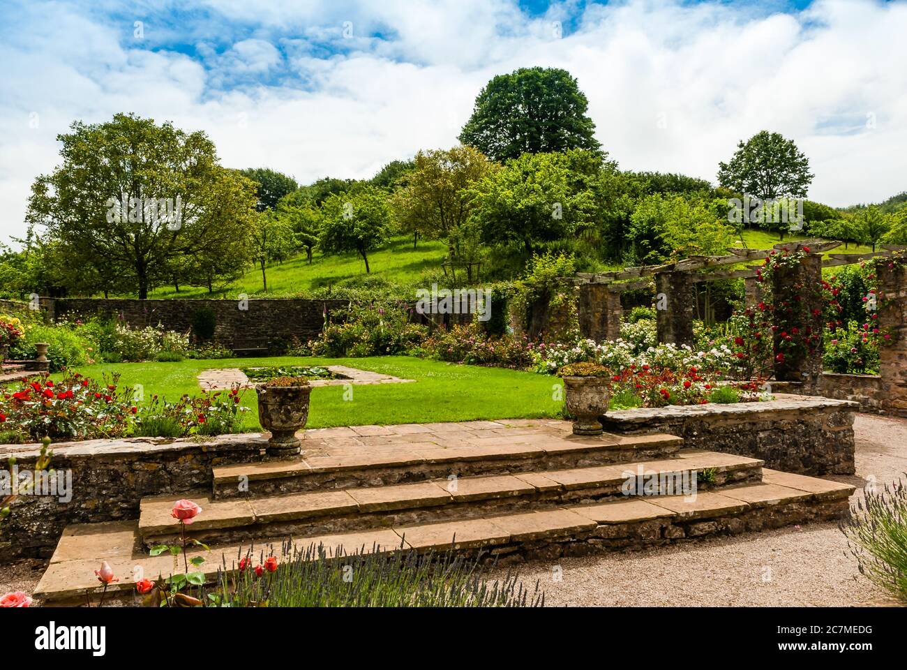 Compton Castle gardens in Devon Stock Photo - Alamy