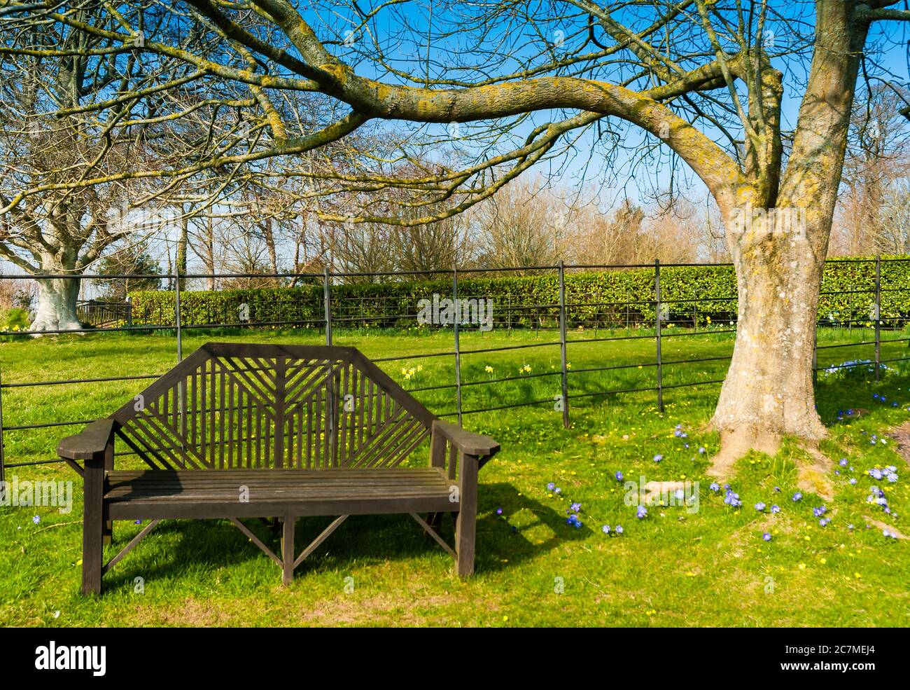 Vibrant parkland scene in hi-res stock photography and images - Alamy