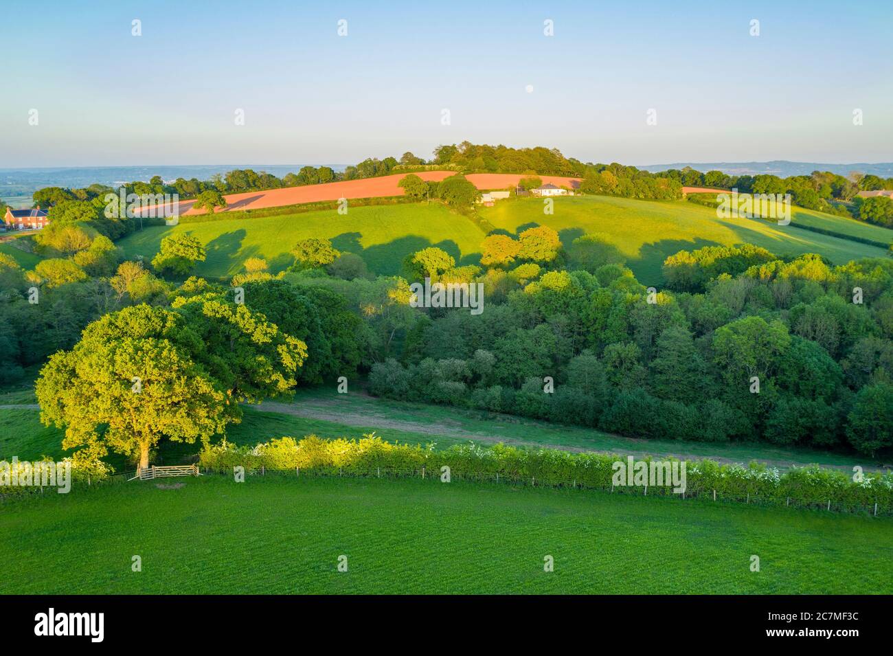 Mincinglake hi-res stock photography and images - Alamy