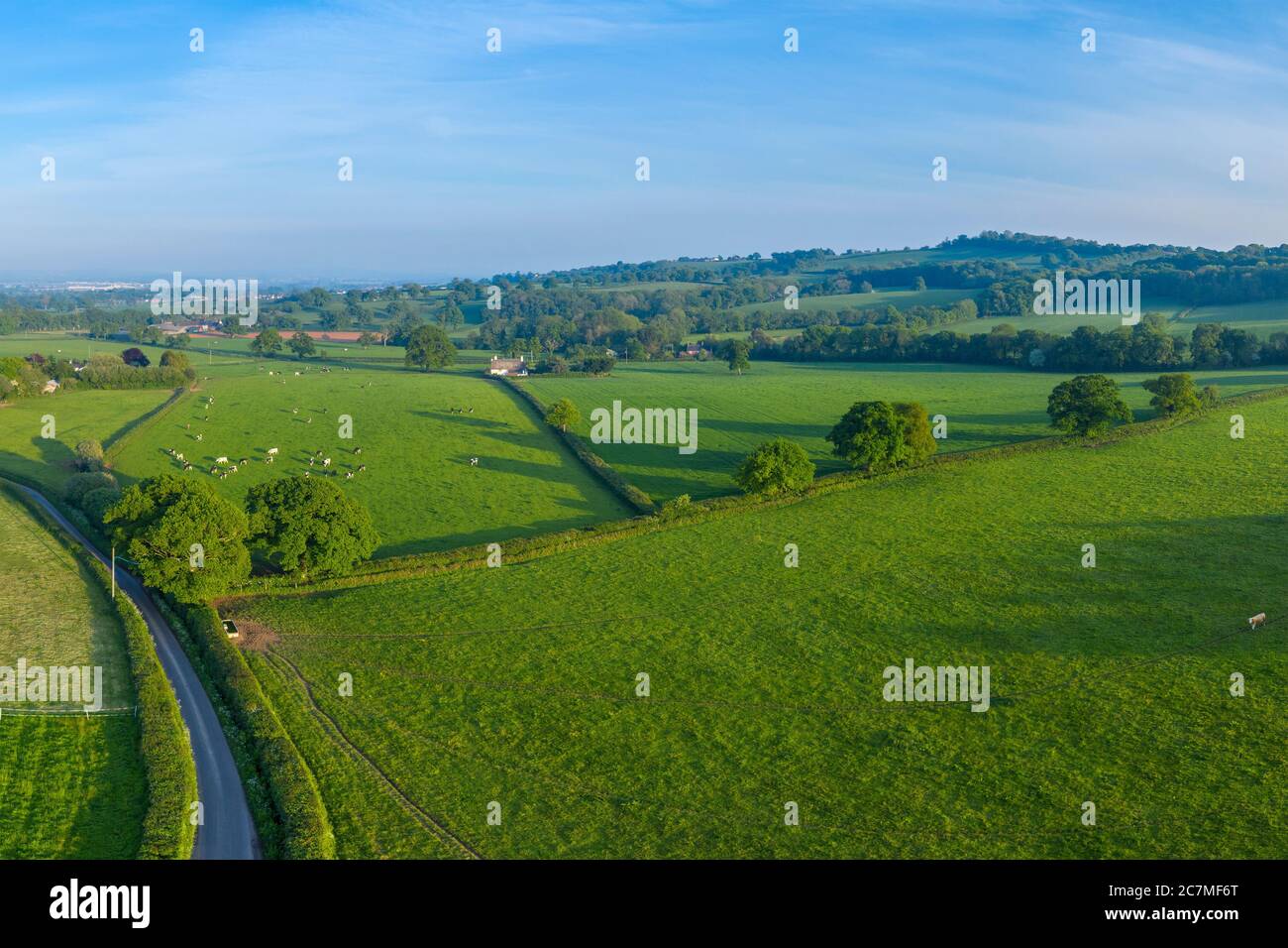 Poltimore hi-res stock photography and images - Alamy