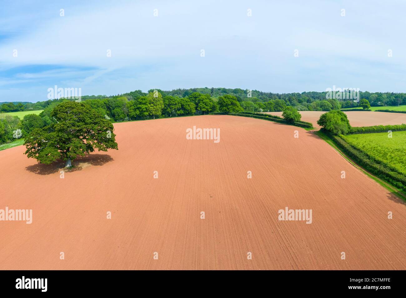 Spring in Devon near Exeter, Devon, England, United Kingdom, Europe ...