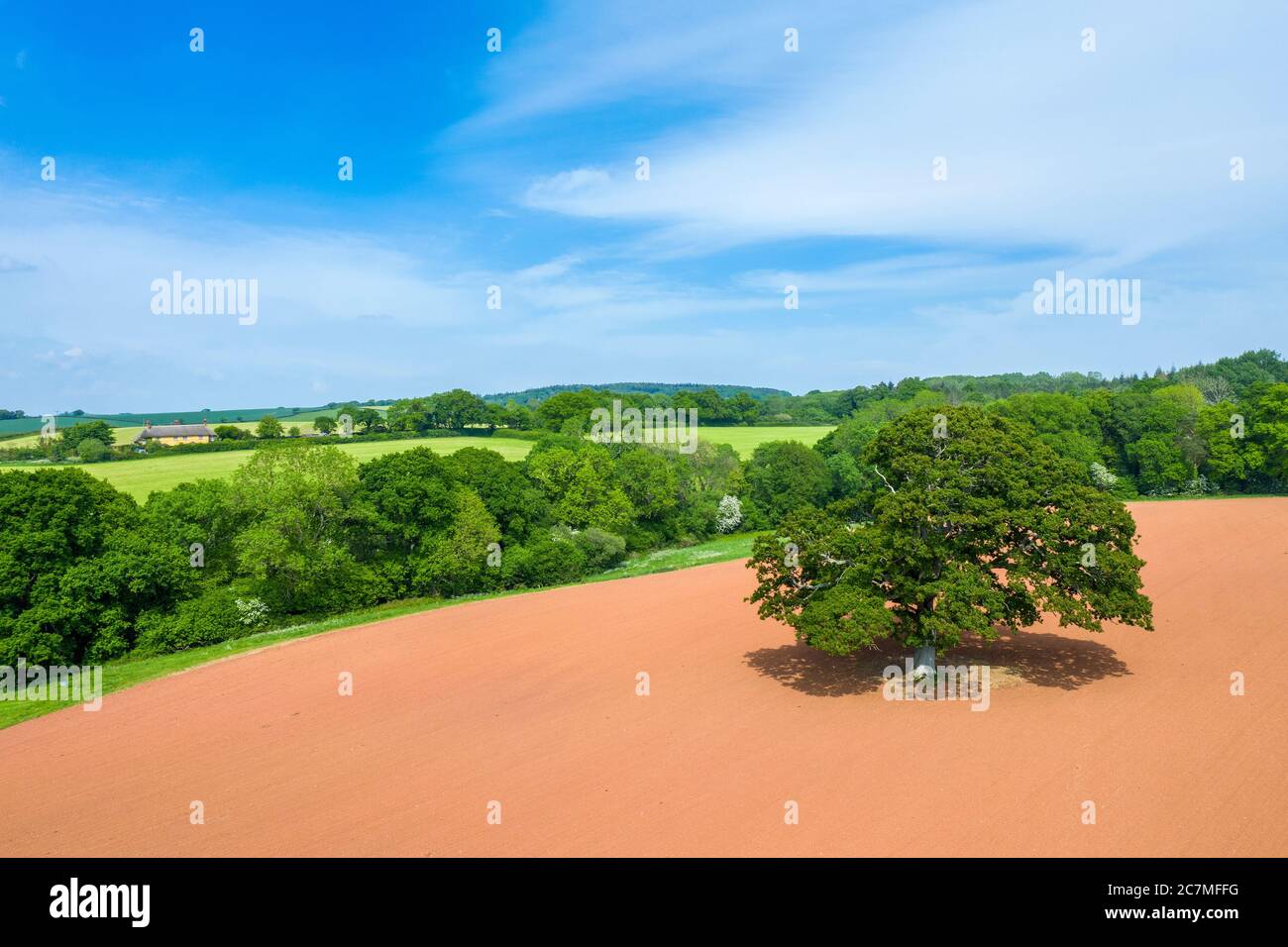 Spring in Devon near Exeter, Devon, England, United Kingdom, Europe ...