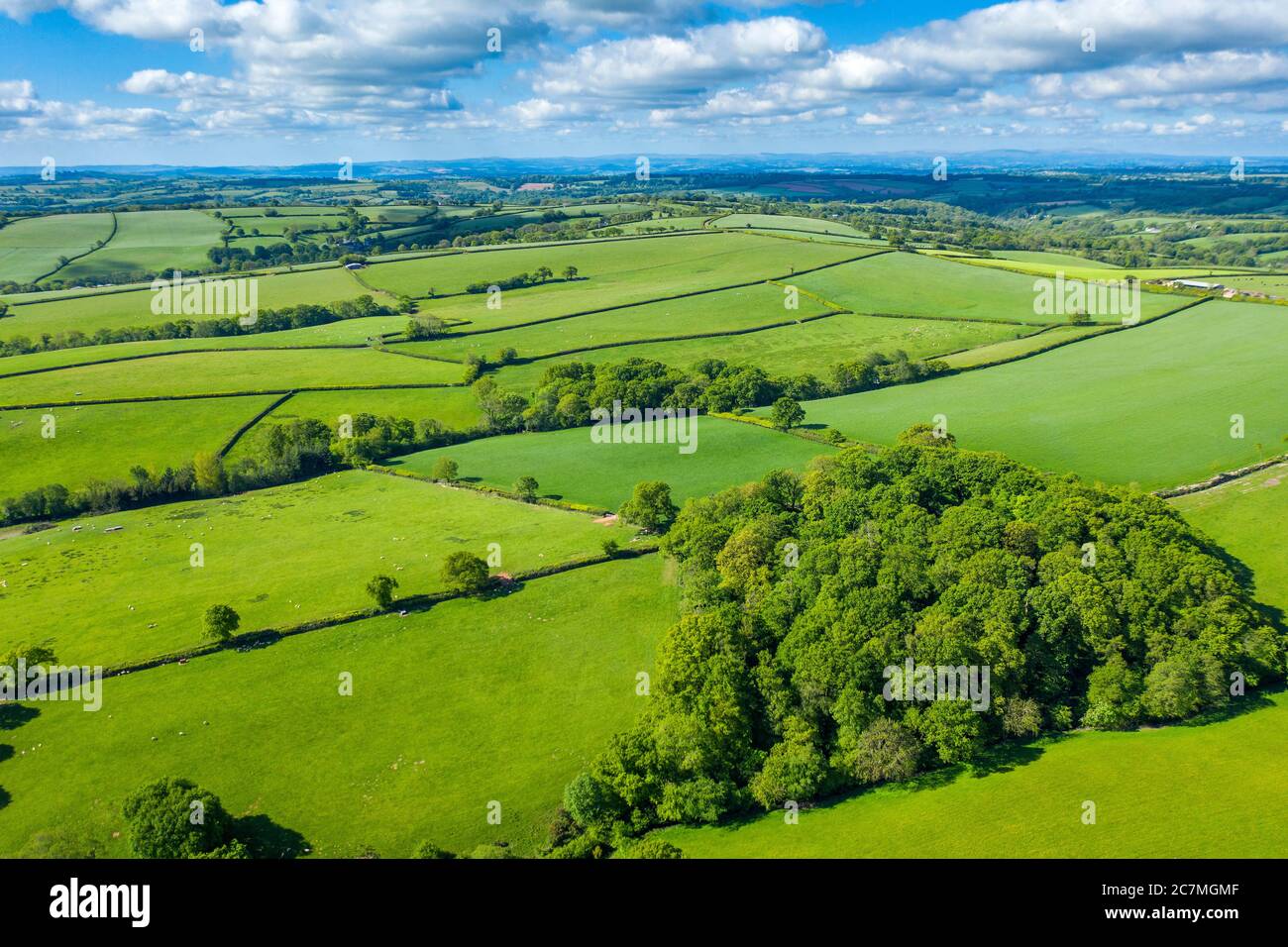 Spring in Devon near Tiverton, Devon, England, United Kingdom, Europe ...